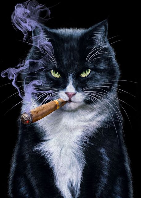 Tableau chat qui fume (2 modèles)
