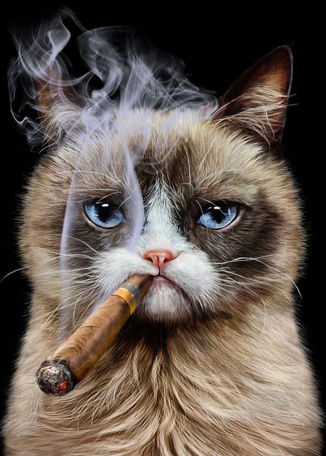 Tableau chat qui fume (2 modèles)